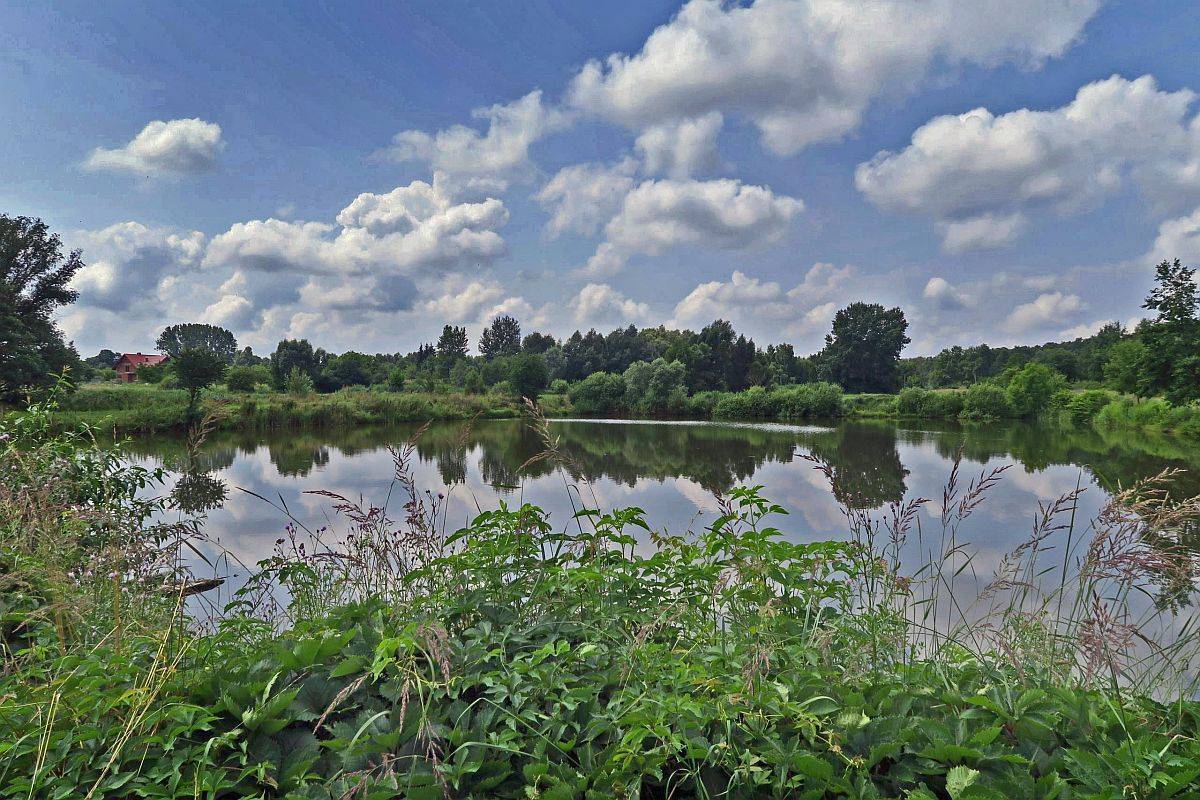 Fish ponds of the Polish Angling Association in Busko-Zdrój - Tourist ...